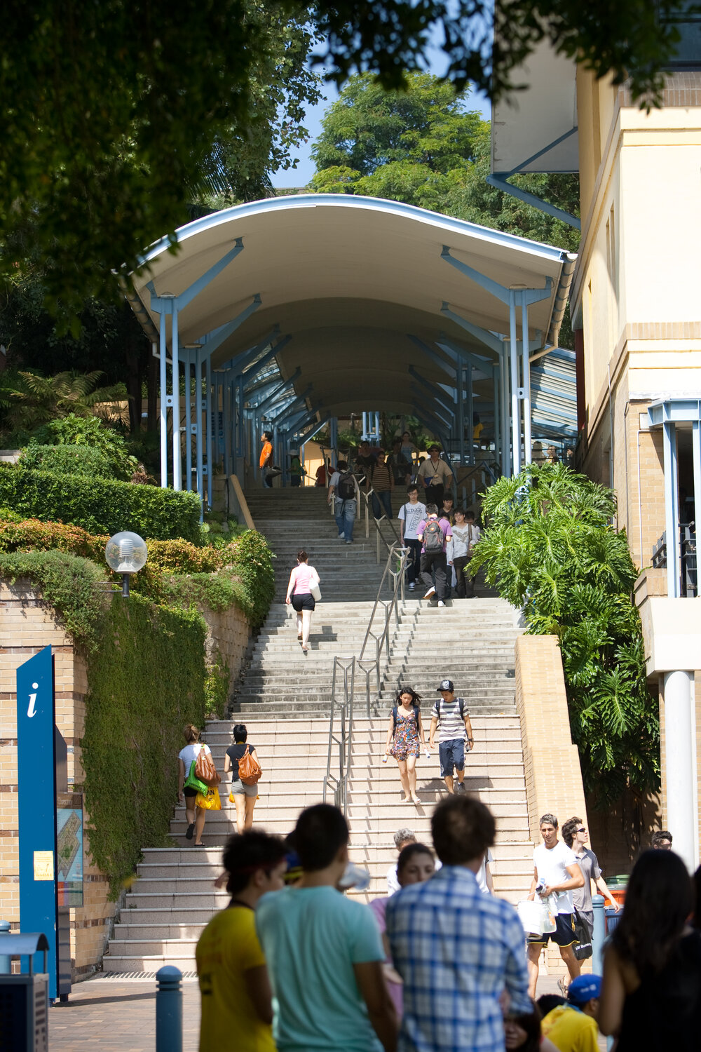 Basser Steps | Digital Collections | Library